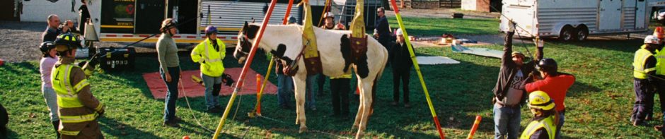 EQUIPMENT | Equine Rescue Ambulance Inc.